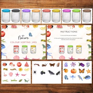 Colour Sorting Jars Early Learning Bundle, Insects Nature Printable ...