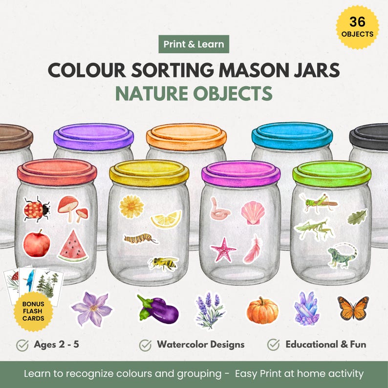 Colour Sorting Jars Early Learning Bundle, Insects Nature Printable ...