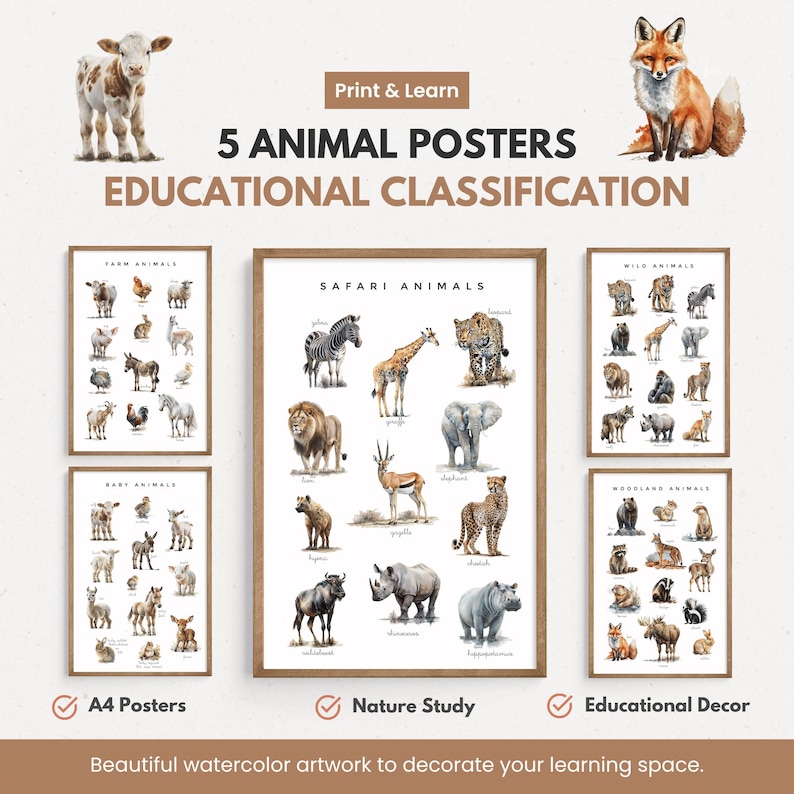 5 Animal Classification Posters for Kids, Montessori Educational Prints ...