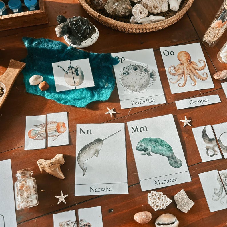 Ocean Animals Early Learning Bundle, Printable Worksheets Flashcards ...