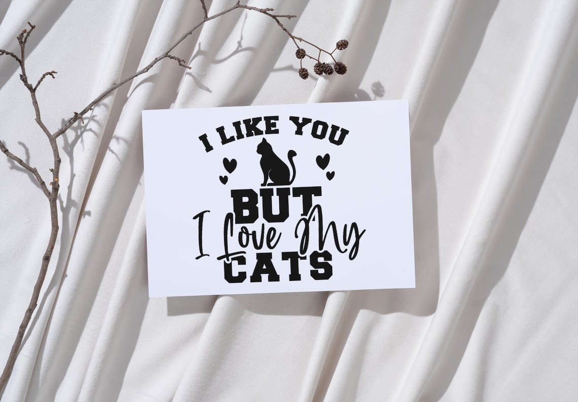Cat SVG Bundle | Funny Cat Quotes, Kitty Clipart (instant Download) - Etsy