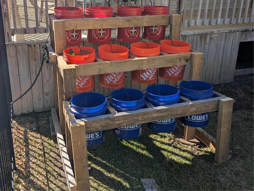 5 Gallon Bucket Self-sufficient Watering Garden With It's Own ...