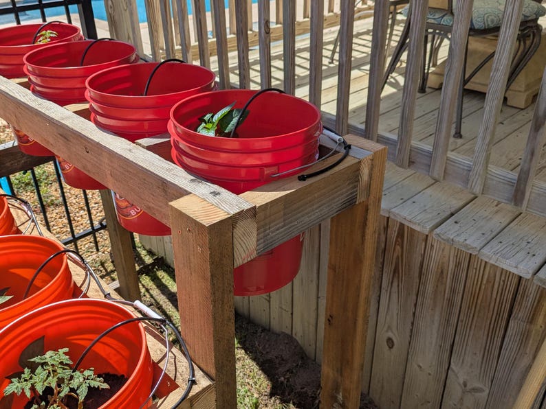5 Gallon Bucket Self-sufficient Watering Garden With It's Own ...
