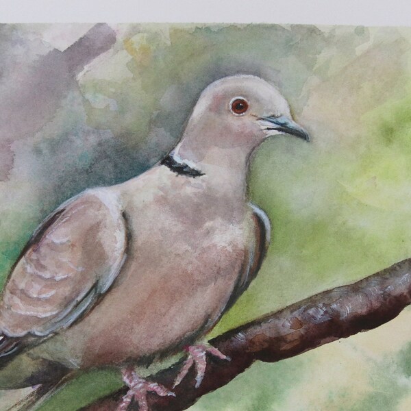 Dove Painting - Etsy