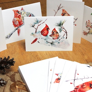 Boxed Holiday Cards, Cardinal Notecards, Boxed Note Card Set, Bird ...