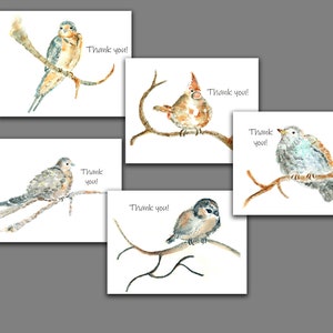Boxed Cards, Watercolor Cards, Notecard Set, Watercolor Birds, Thank ...