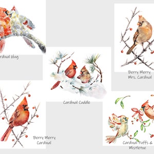 Boxed Holiday Cards, Cardinal Notecards, Boxed Note Card Set, Bird ...