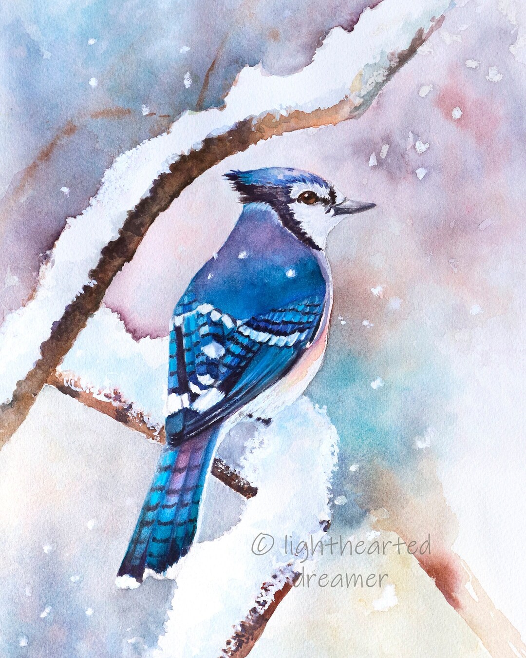 Watercolor Blue Jay, Blue Jay Print, Winter Bathroom Art, Winter Bird ...