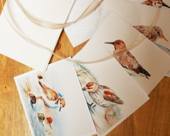 Coastal Notecards Beach Birds Watercolor Bird Cards Boxed | Etsy