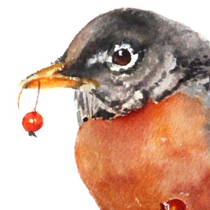 Watercolor Bird Print, Robin Watercolor, Robin Print, Winter Wall Art ...