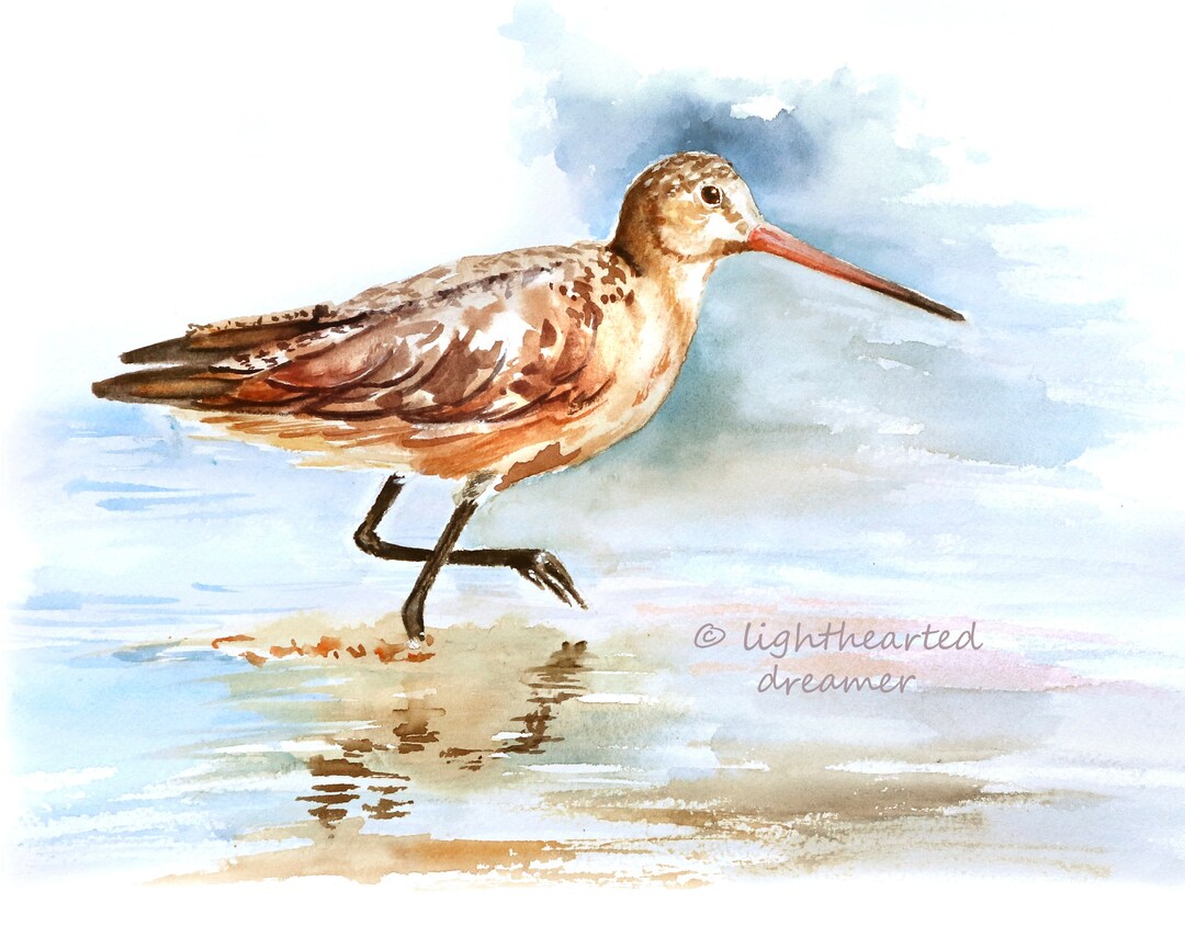 Beach Bird Print, Seaside Watercolor, Watercolor Bird, Summer Wall Art ...