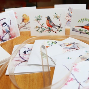 Bird Notecards, Set of 10, Birthday Gift, Watercolor Birds, Boxed Card ...