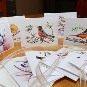 Bird Notecards, Set of 10, Birthday Gift, Watercolor Birds, Boxed Card ...