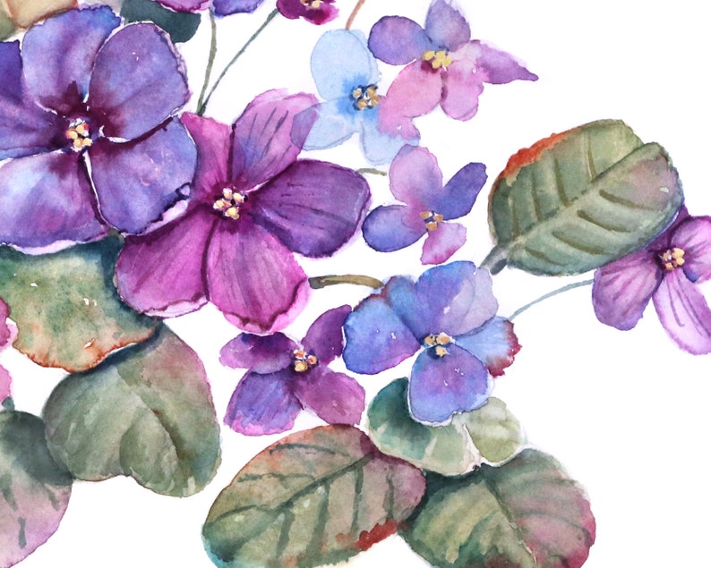 Watercolor Flowers Print Flower Art African Violets Print - Etsy