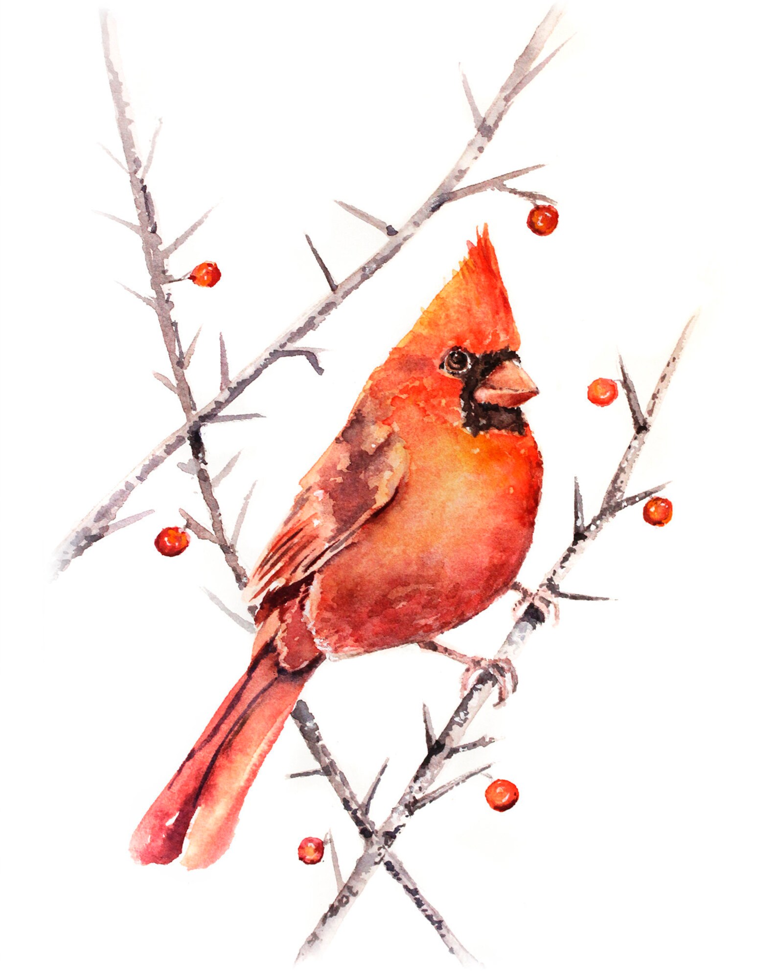 Male and Female Cardinal Prints, Holiday Decor, Watercolor Cardinals ...