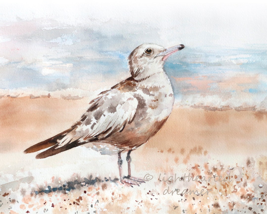 Watercolor Seagull, Watercolor Bird, Coastal Print, Coastal Wall Art ...