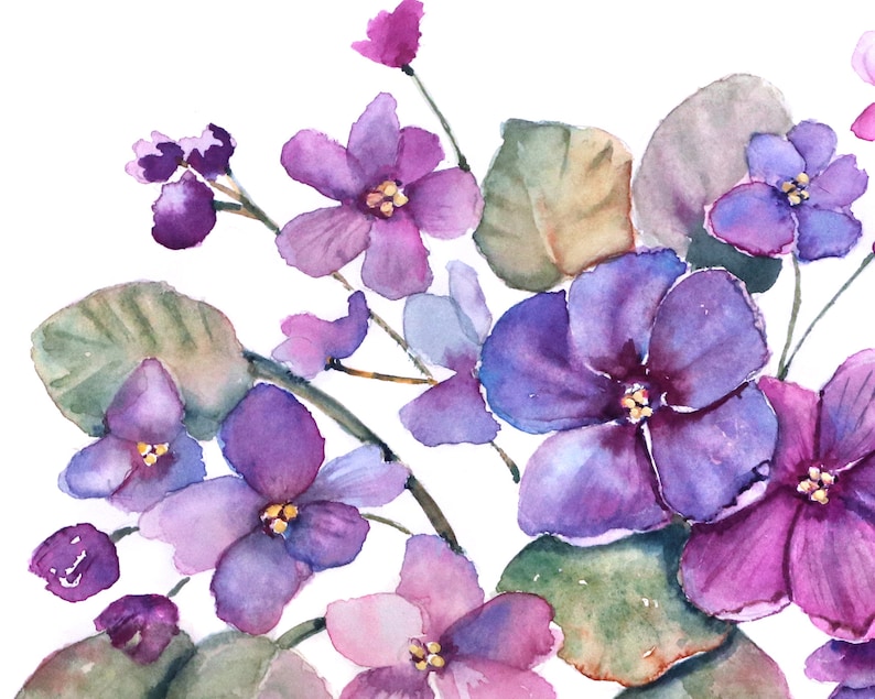 Watercolor Flowers Print Flower Art African Violets Print - Etsy