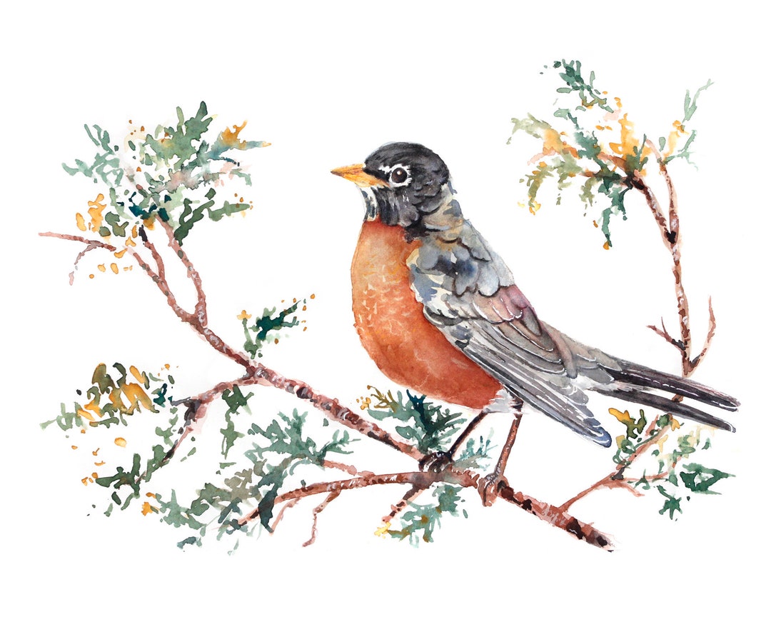 Watercolor Bird Print, Robin Artwork, Robin Print, Robin Wall Art ...