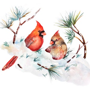 Boxed Holiday Cards, Cardinal Notecards, Boxed Note Card Set, Bird ...