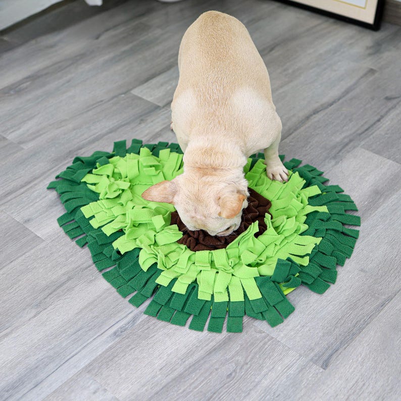Avocado Snuffle Mat for Dogs and Cats - Interactive Foraging & Feeding ...