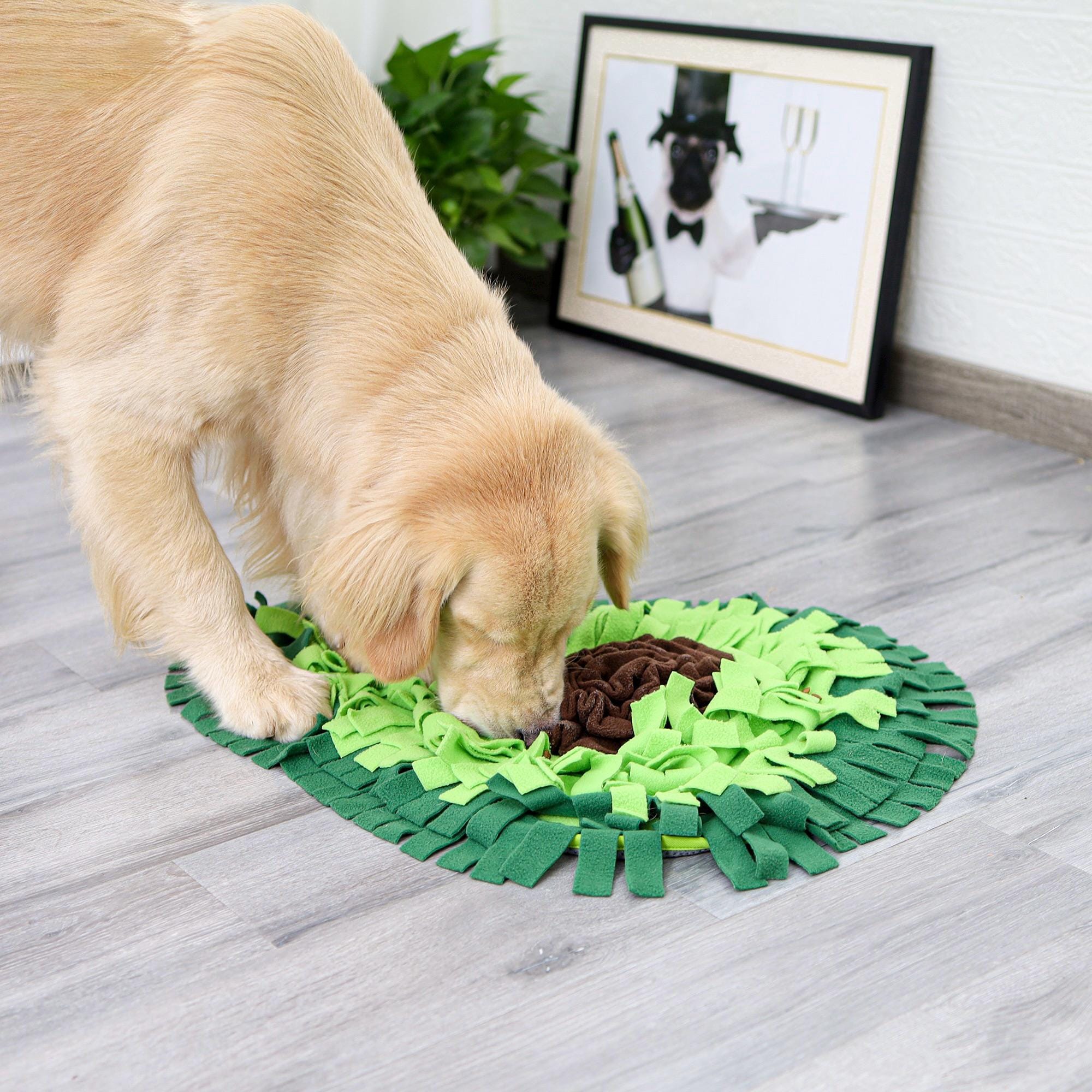 Avocado Snuffle Mat for Dogs and Cats - Interactive Foraging & Feeding ...