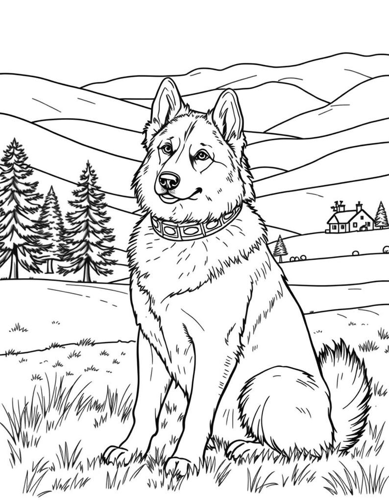 50 Dog Breeds Coloring Pages Printable Digital Download PDF Instant ...