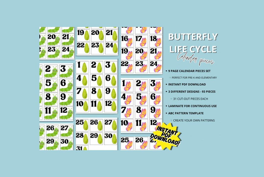 Butterfly Life Cycle Calendar Pieces | Caterpillar, Cocoon, Butterfly ...