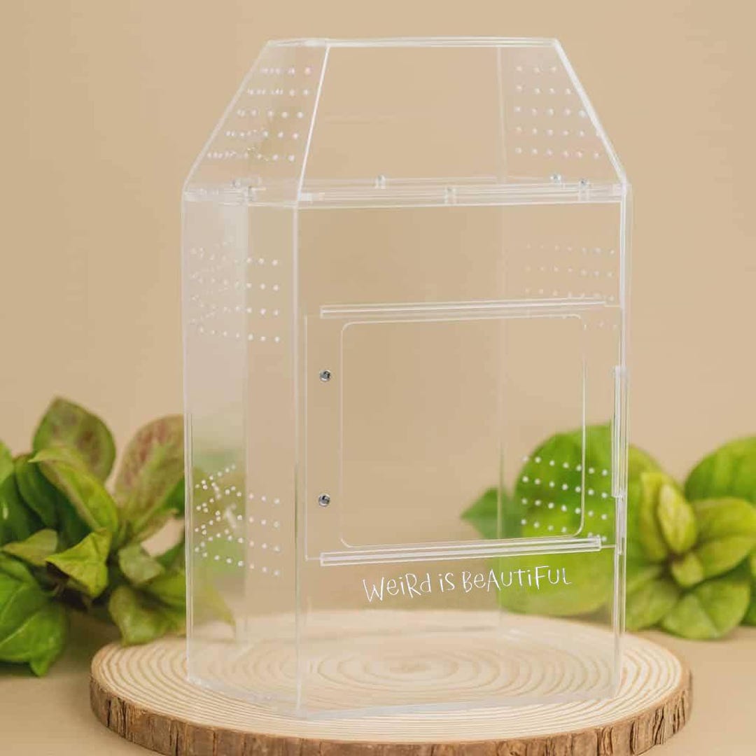 Bioweird Terrarium Enclosure - Blank - Etsy