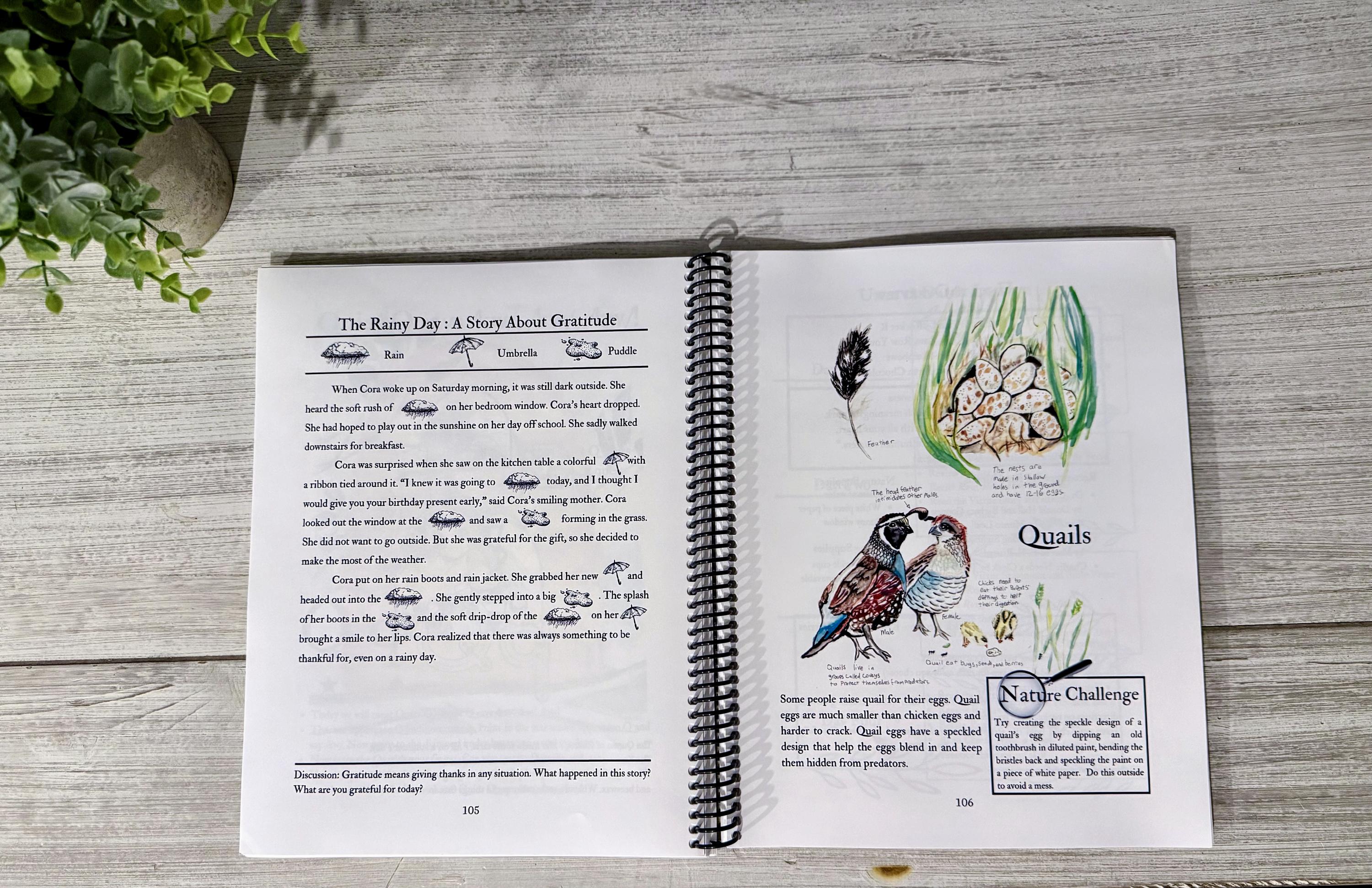 Consider the Wildflowers Homeschool Curriculum, Gentle Preschool, Virtue-based, Charlotte Mason ...