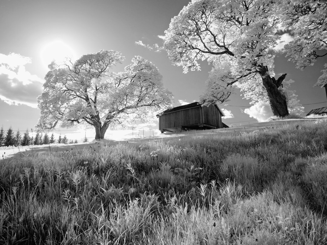 Infrared Sunset -farm - Art Photography - Landscape - Nature - Oslo ...