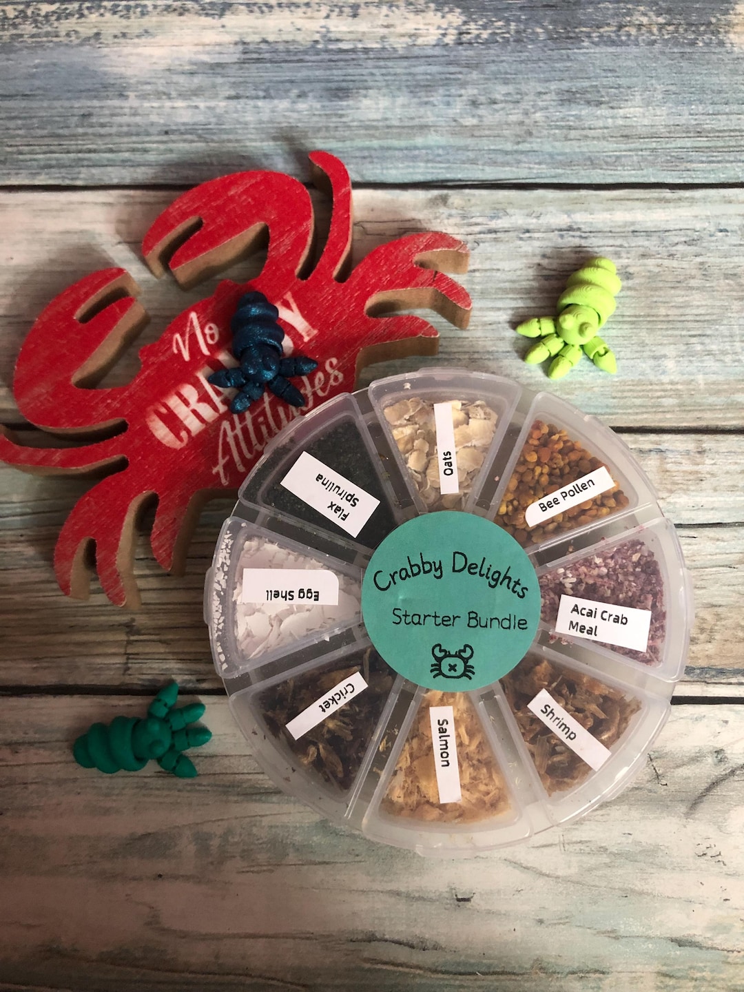 Starter Bundle Hermit Crab - Etsy