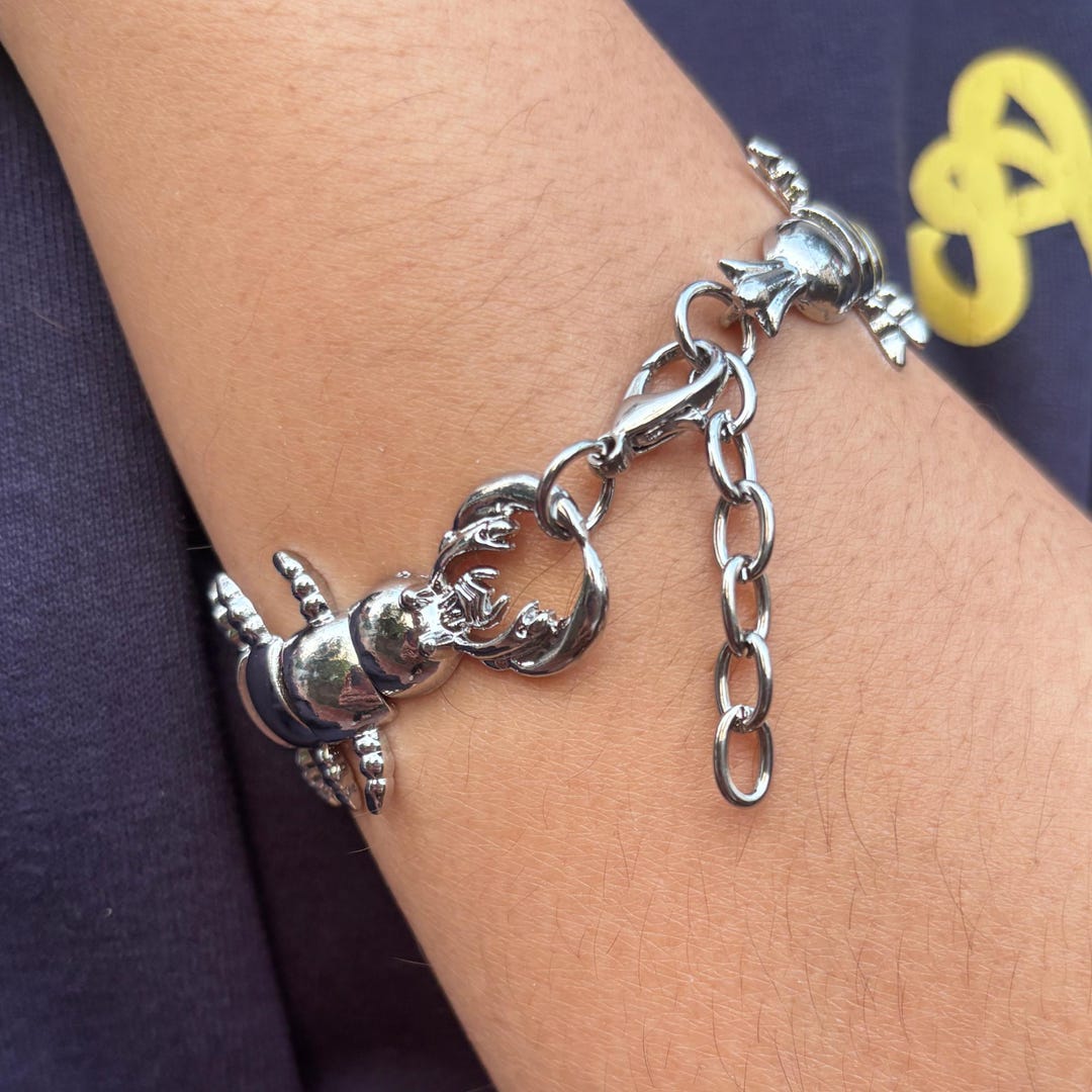 Centipede Spine Bracelet, Y2K Goth Chain for Unisex, Adjustable Lobster ...