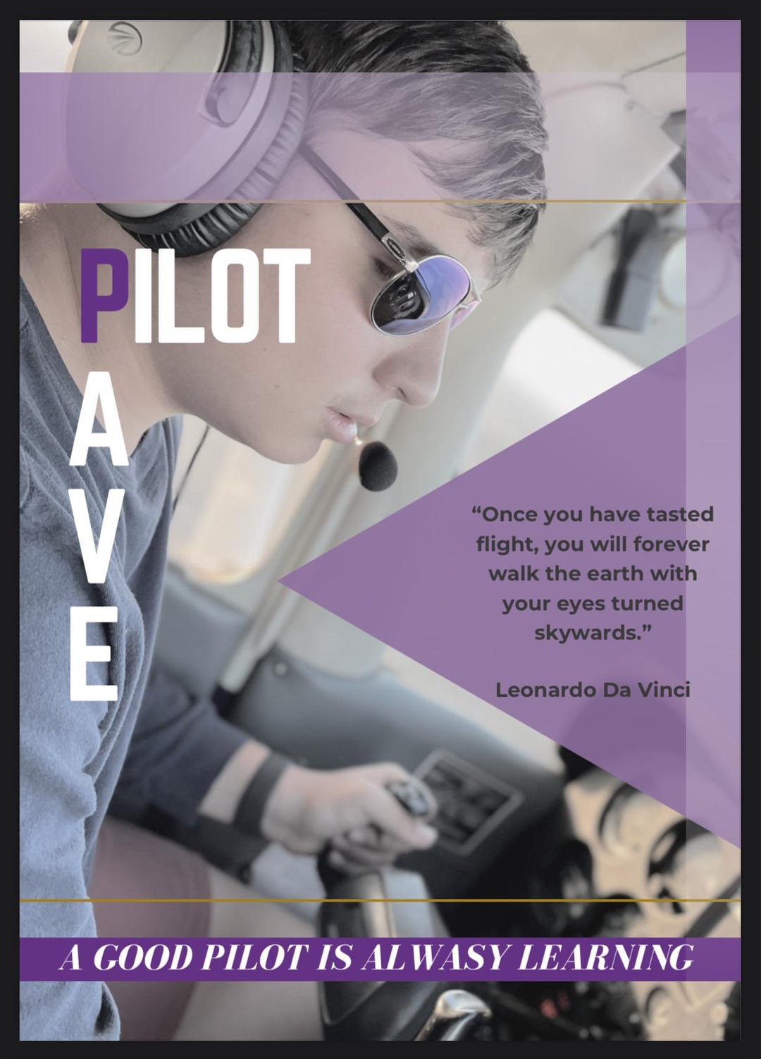 Private Pilot Study Guide - Looking to Stay Organized? Create a Study Binder Using the PAVE ...
