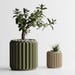 Large Ribbed Plant Pot – Modern Textured Design for Indoor & Outdoor ...