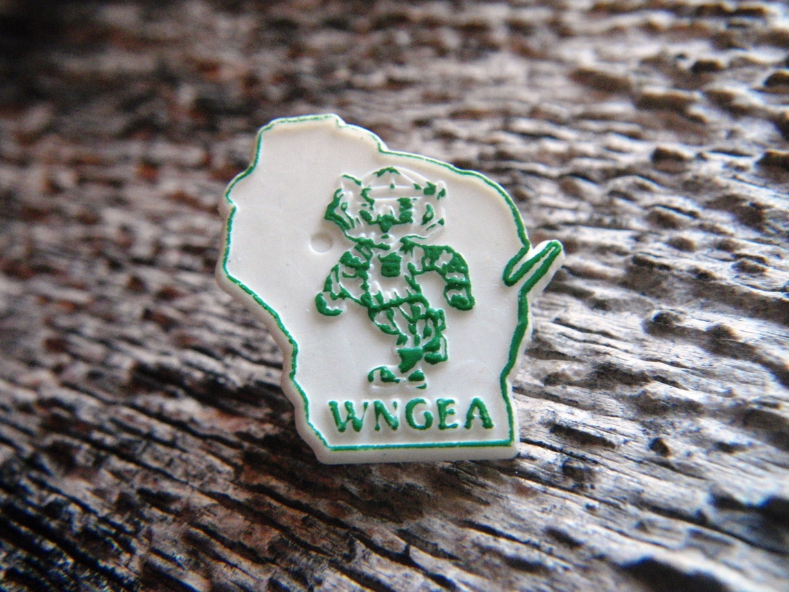 Wisconsin State Map Lapel Pin National Guard Enlisted Assn - Etsy