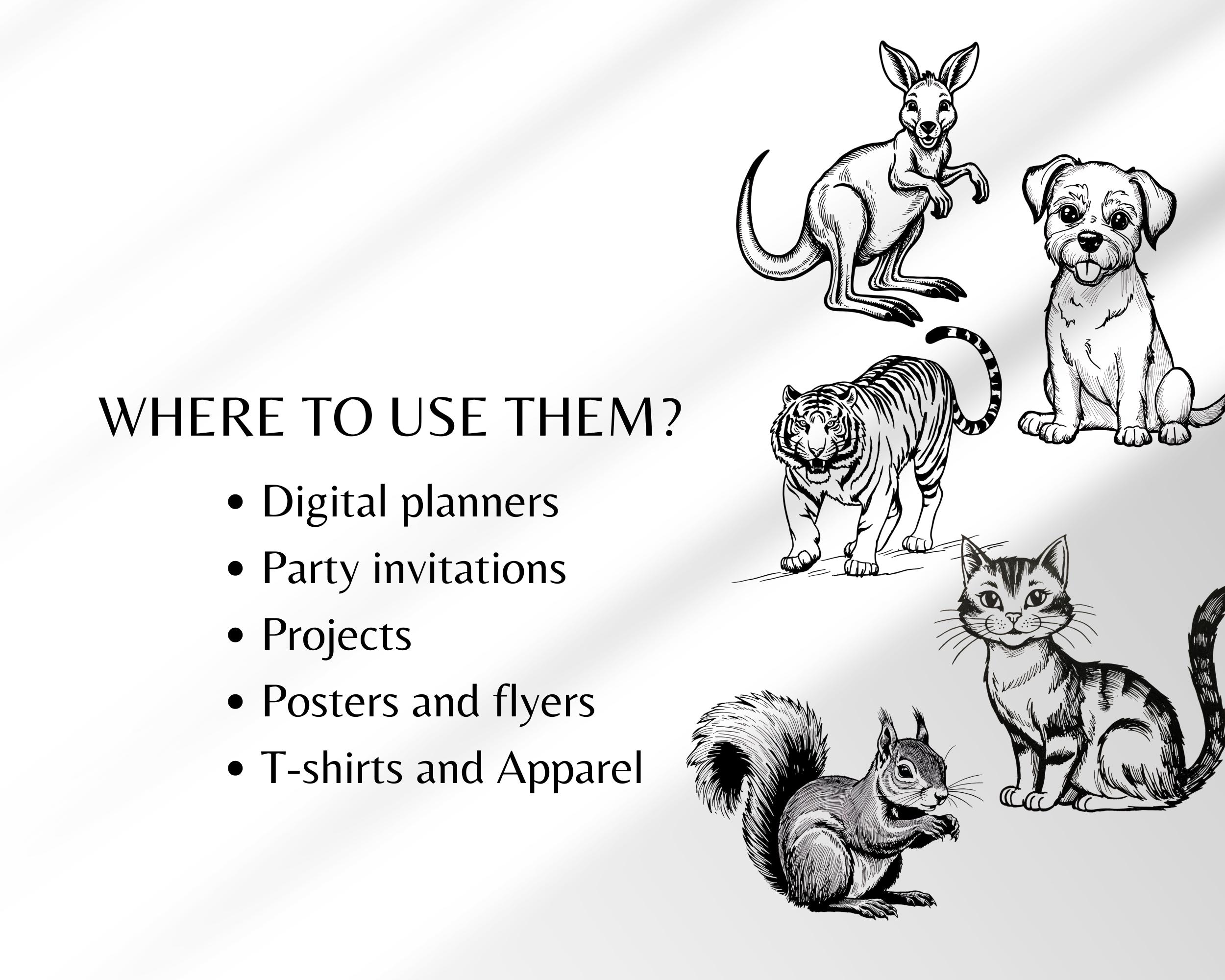Animal Clipart Cute Animal Bundle Clipart Hand Drawn Animals Png Zoo ...
