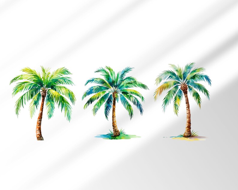 Watercolor Palm Tree Clipart Bundle: Tropical Island PNG Stickers ...