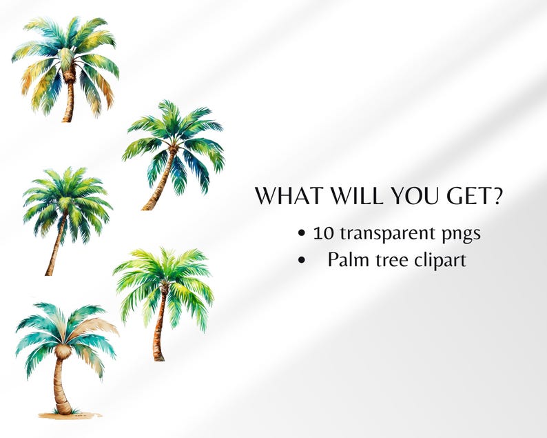 Watercolor Palm Tree Clipart Bundle: Tropical Island PNG Stickers ...