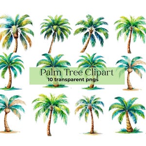 Watercolor Palm Tree Clipart Bundle: Tropical Island PNG Stickers ...