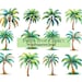 Watercolor Palm Tree Clipart Bundle: Tropical Island PNG Stickers ...