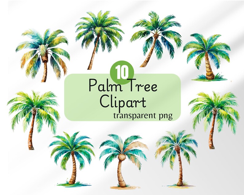 Watercolor Palm Tree Clipart Bundle: Tropical Island PNG Stickers ...