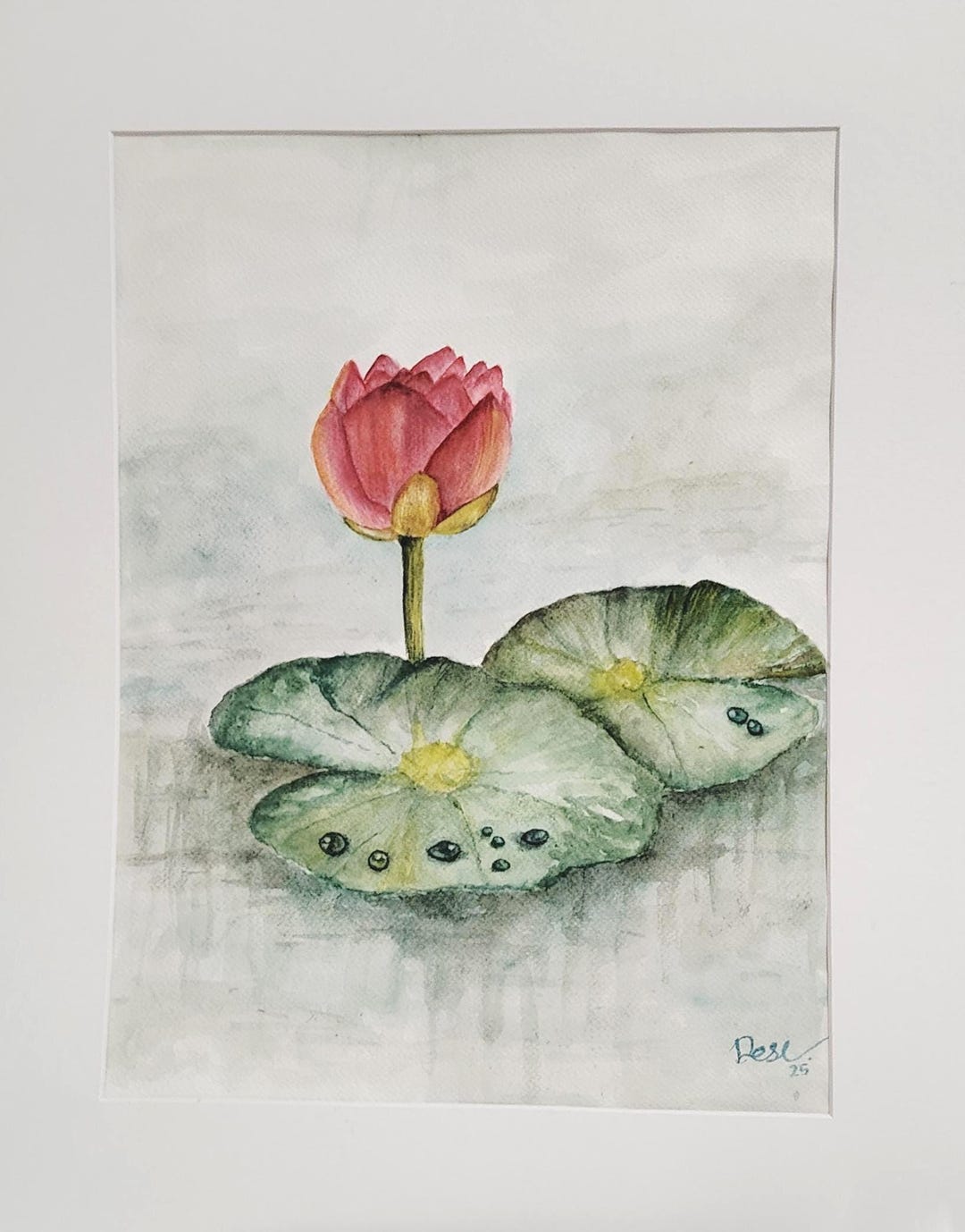 Peace ...water Lily - Etsy