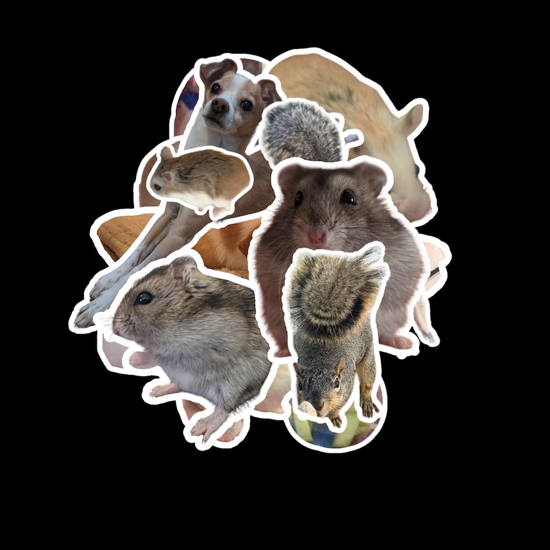 Furry and Fluffy Stickers - Etsy