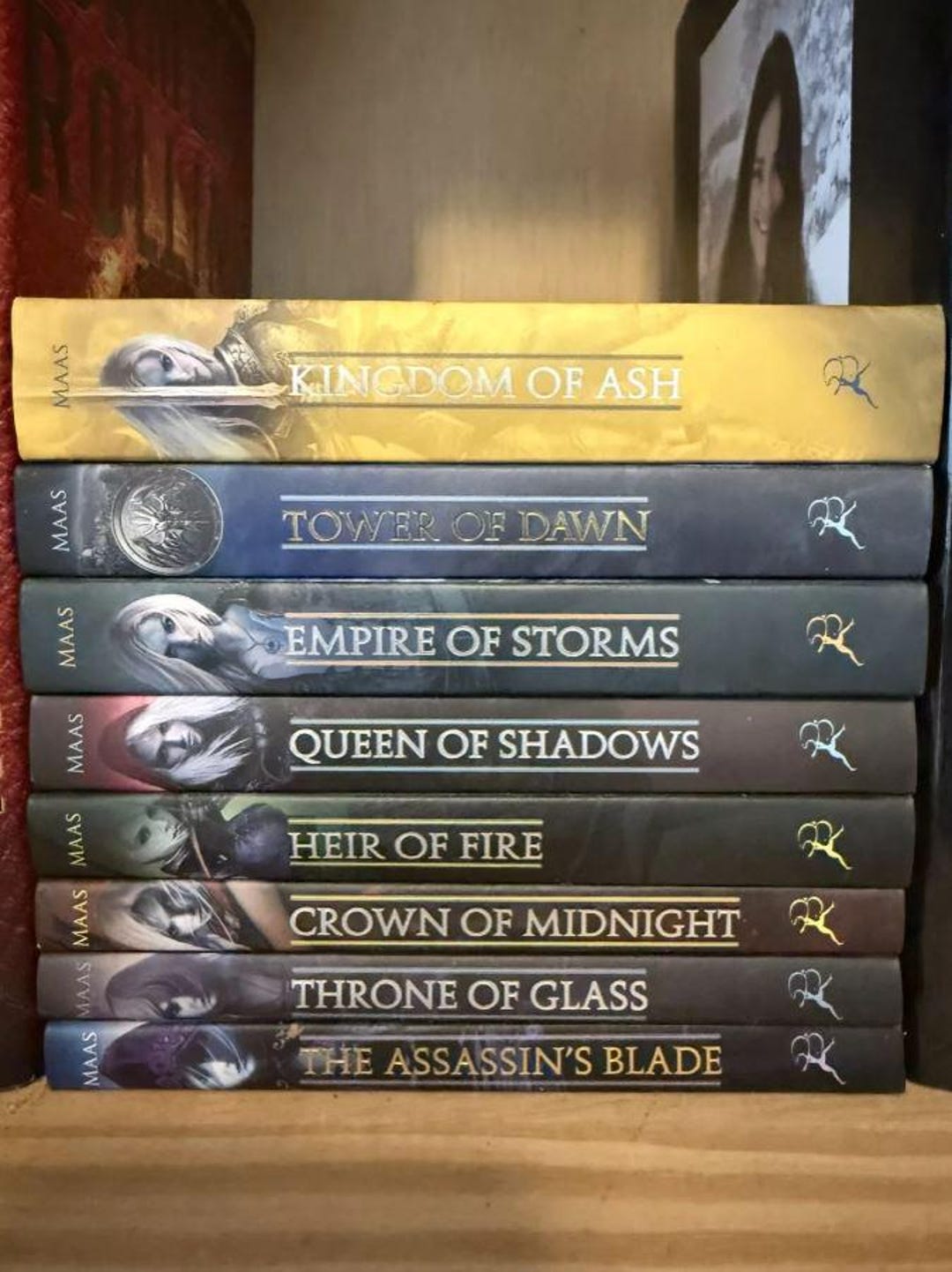 Throne of Glass Miniature Complete Collection - Etsy