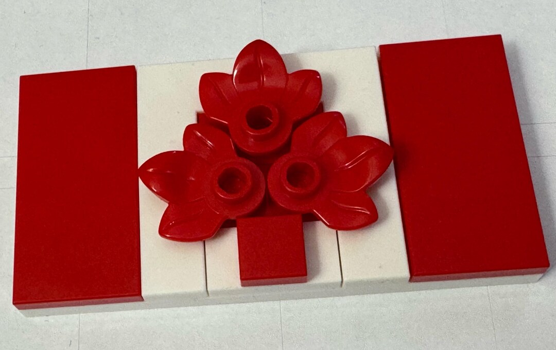Canadian Flag Brick Set - Etsy