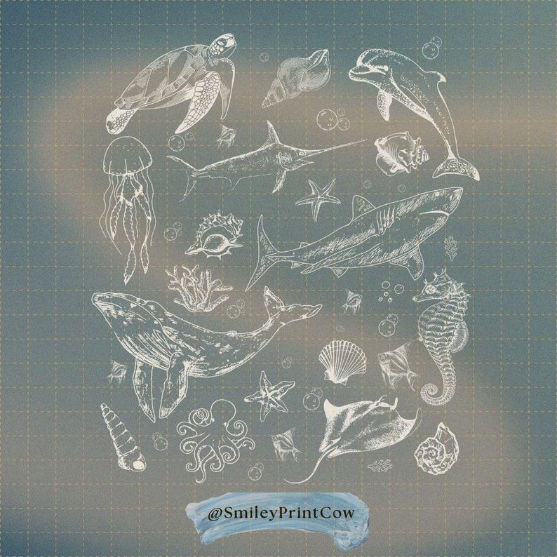 Sea Animal 90s Retro Design PNG, Nature Lovers, Sealife PNG, Whale N ...