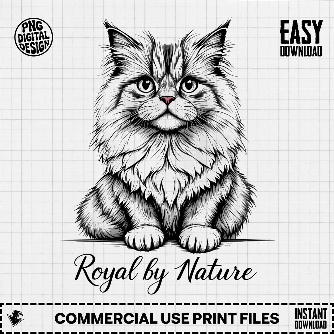 Persian Cat Line Art, Royal Fluffy Kitten Illustration (PNG, JPG, PDF ...