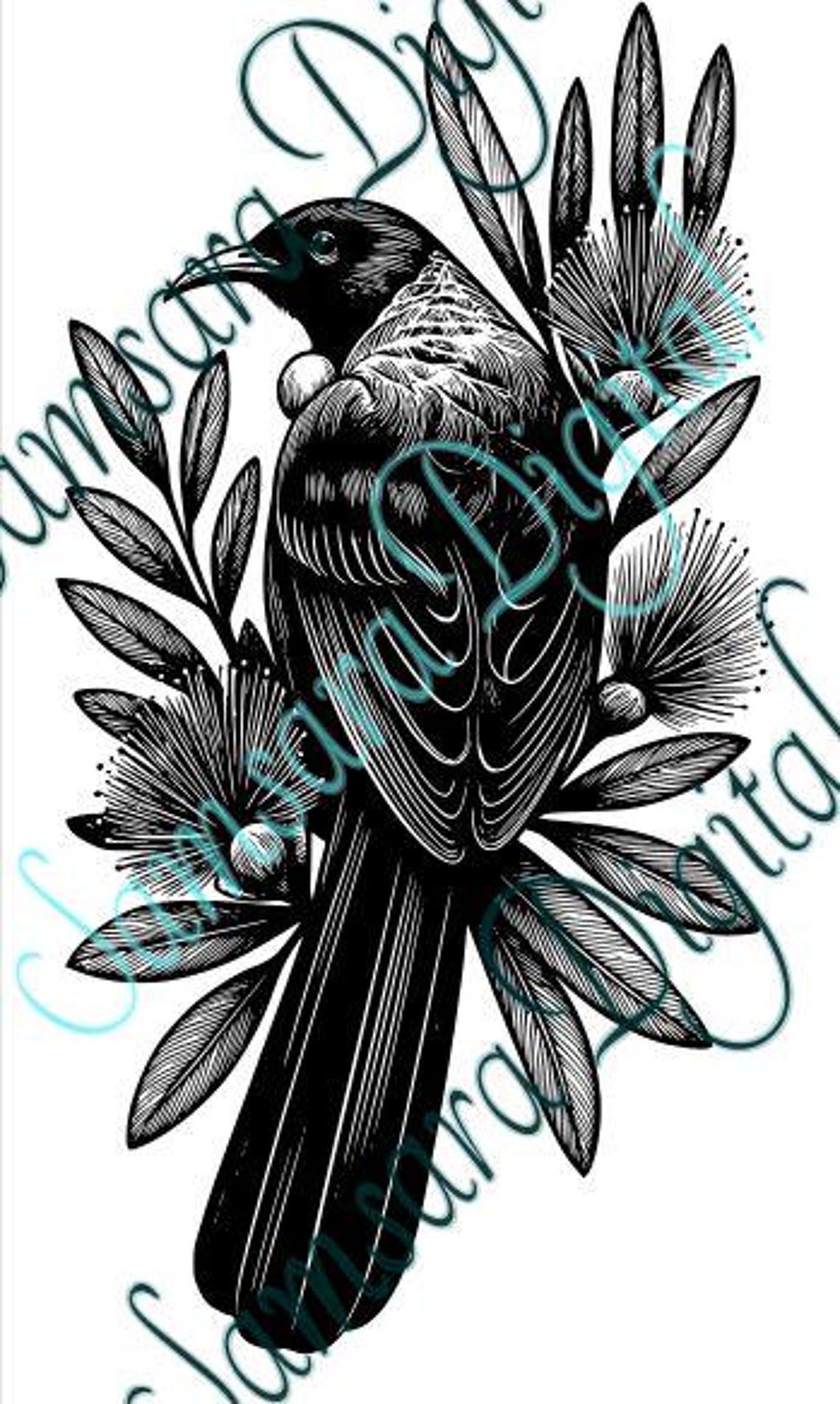 Tui Bird Svg, Digital Download for Laser Engraving, Home Decor, Signs ...