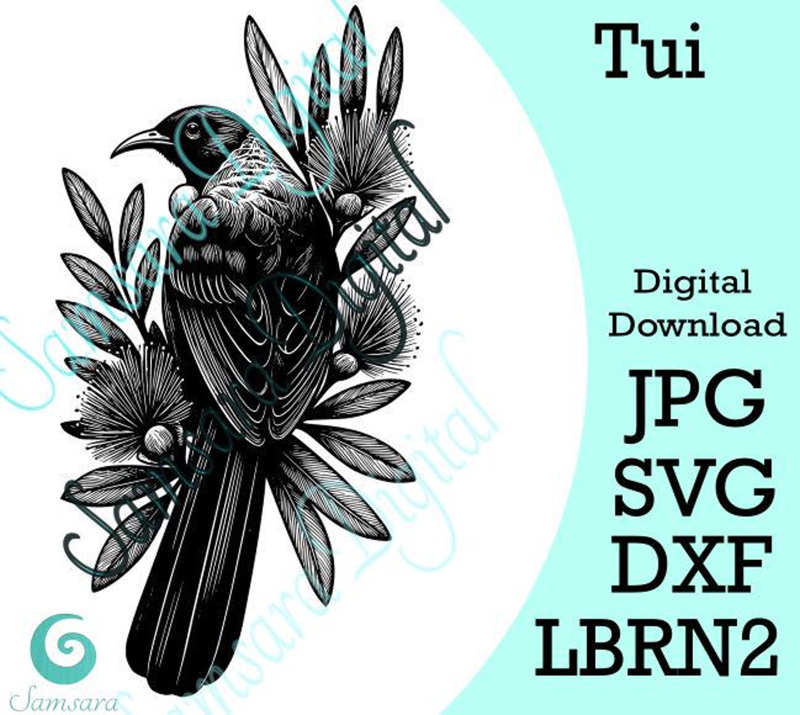 Tui Bird Svg, Digital Download for Laser Engraving, Home Decor, Signs ...