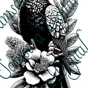 Kereru / NZ Wood Pigeon Bird Svg, Digital Download for Laser Engraving ...